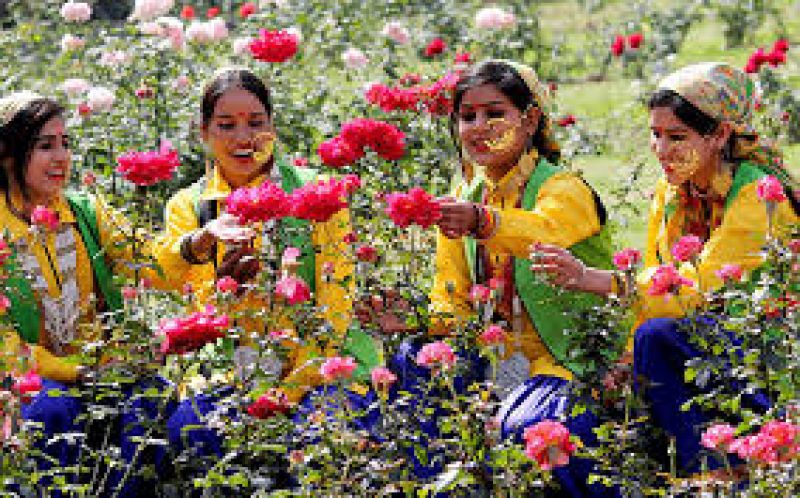 Rose Festival of Chandigarh 2020